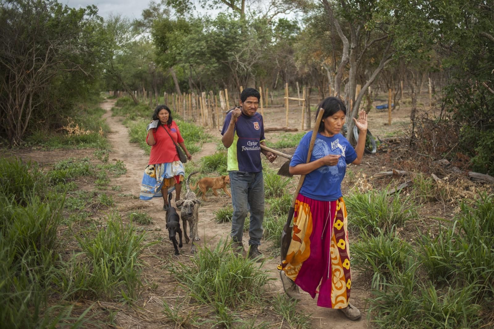 Los ayoreo todobiegosode, en peligro - Galerías de imágenes - ABC Color
