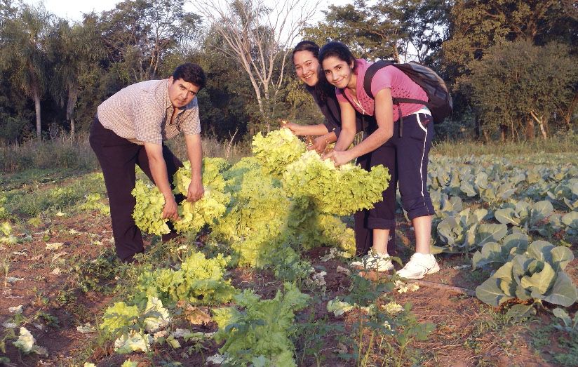 Trabajo fecundo y distinción - Interior - ABC Color