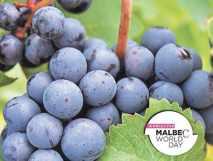 Eventos por el Día Mundial del Malbec - Gastronomia - ABC Color