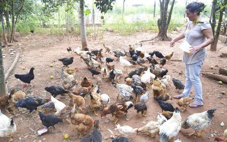 Trabajar unidos en familia tiene múltiples beneficios en el campo - ABC ...