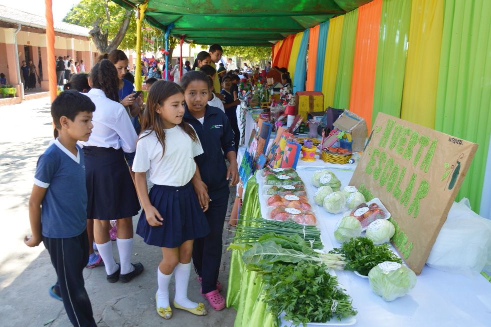 Alumnos realizan feria pedagógica - Centinela - ABC Color