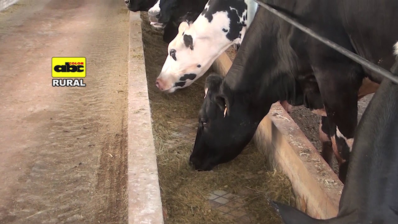 Programa ABC Rural Tv 833 - ABC Rural - ABC Color