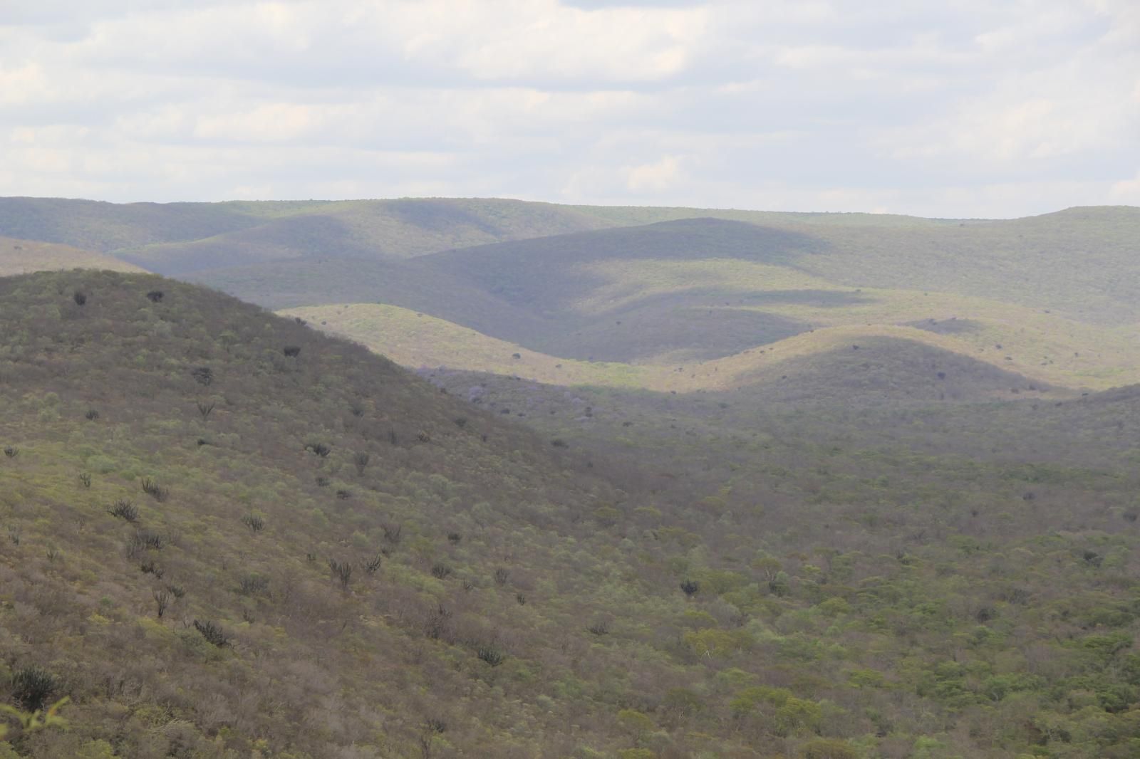 Férrea defensa ciudadana a favor del Cerro León - Nacionales - ABC Color