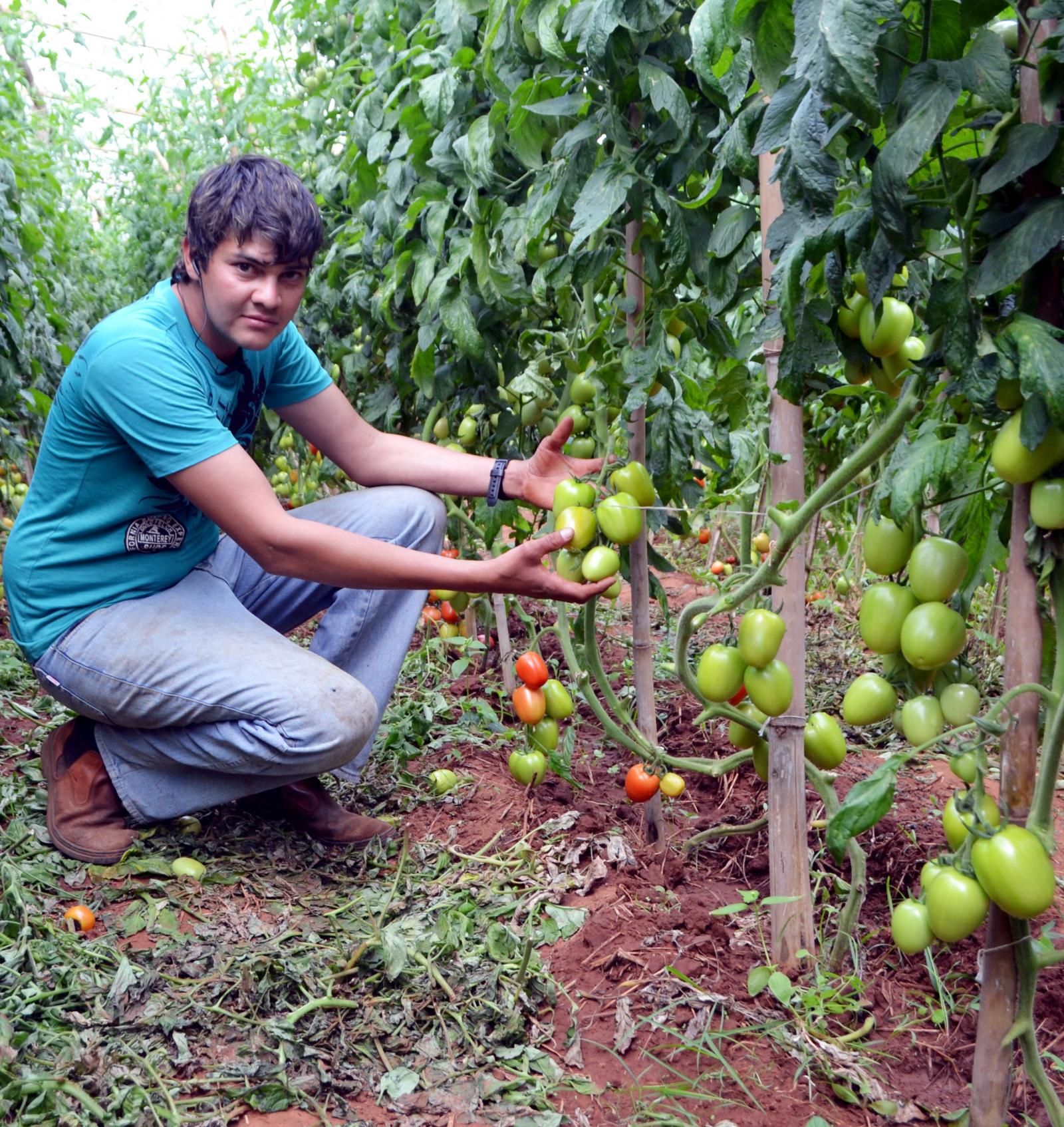Hay más jóvenes que optan por la horticultura como sustento familiar ...