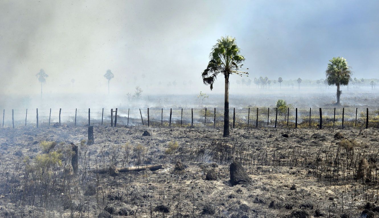 El paisaje de la desolación - Locales - ABC Color
