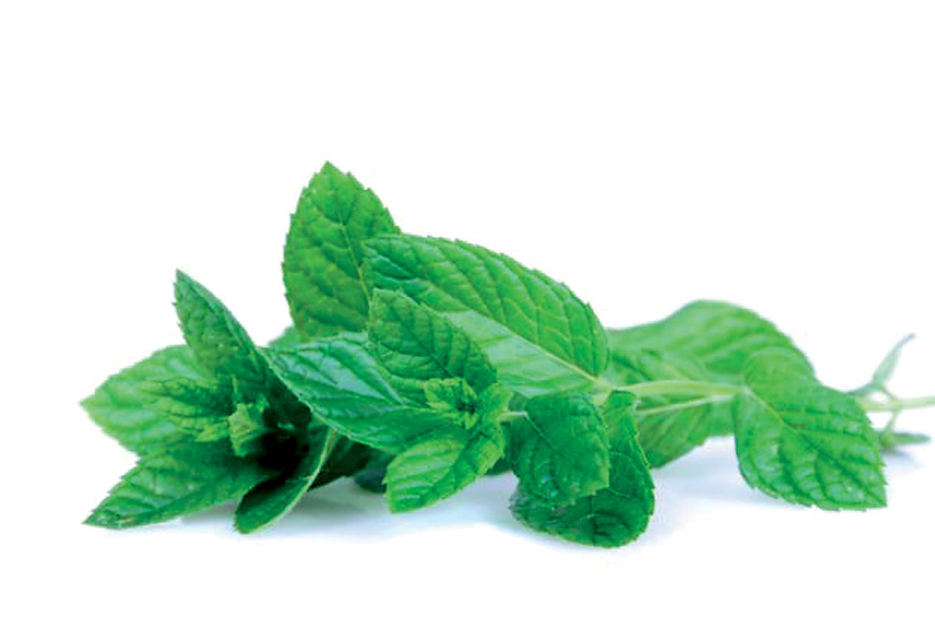 Hierbas digestivas - Gastronomia - ABC Color