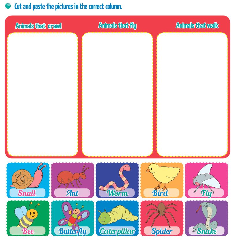 How do animals move? - Escolar - ABC Color