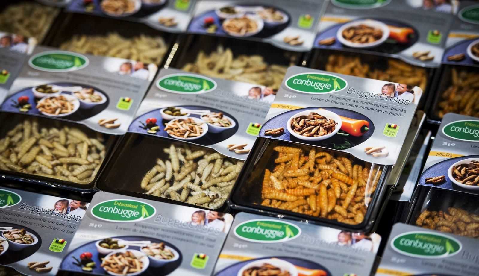 Alimentos hechos con insectos en Holanda - Mundo curioso - ABC Color