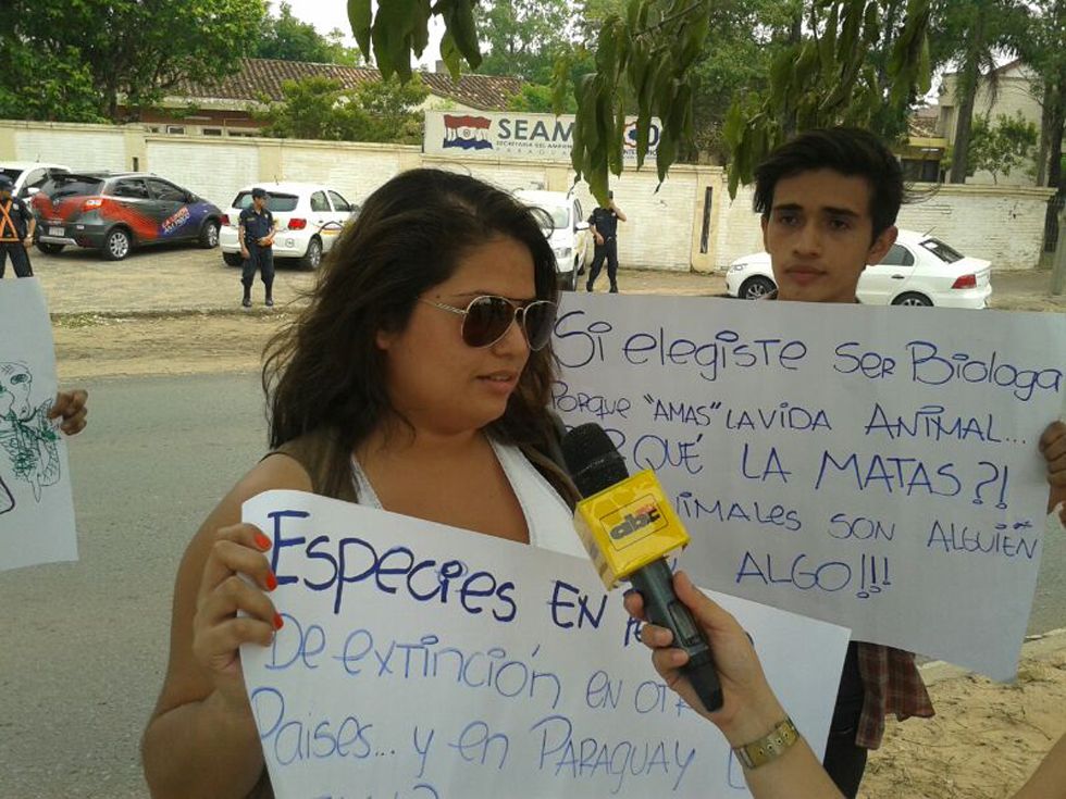 Audiencia definirá la cacería del teju guasu - Galerías de imágenes ...