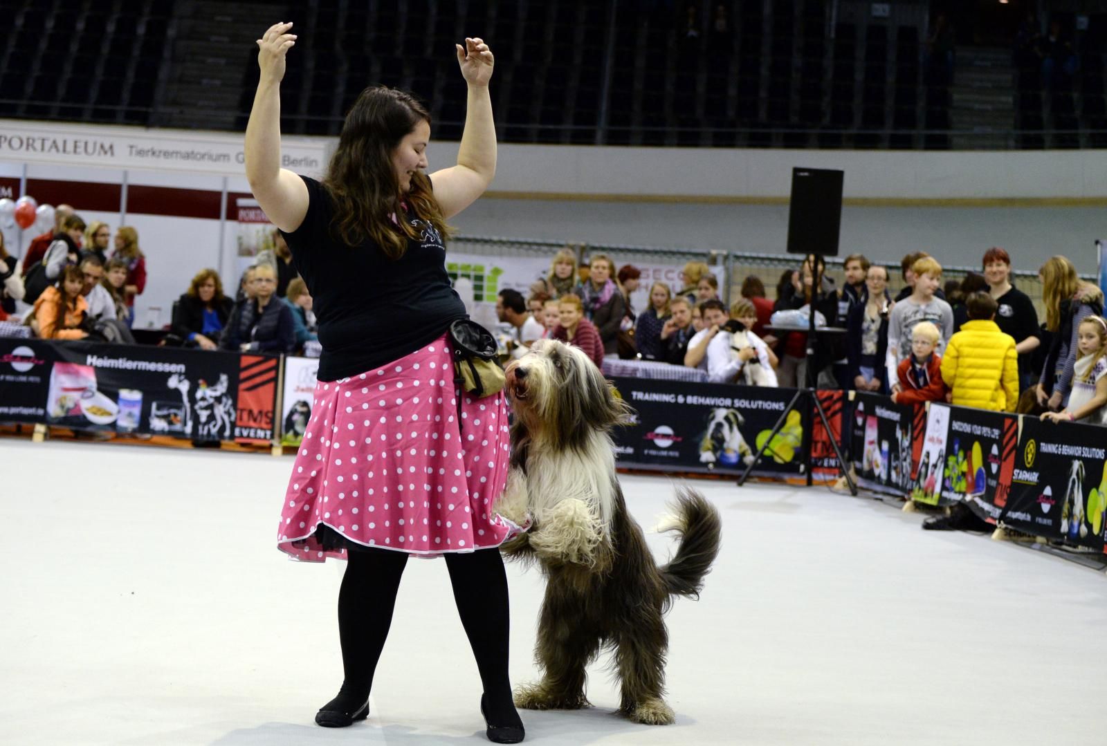 Dog dancing: entrenamiento ideal para perros - Mascotas - ABC Color
