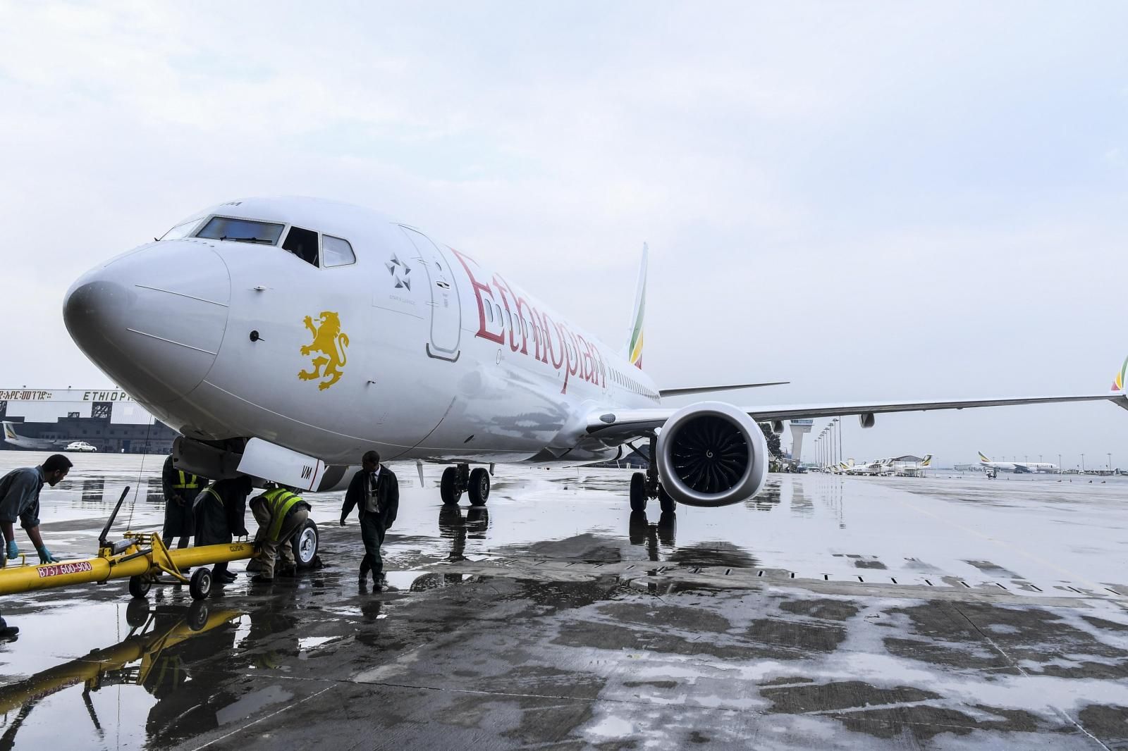Boeing 737 MAX, última versión del avión comercial más vendido del ...
