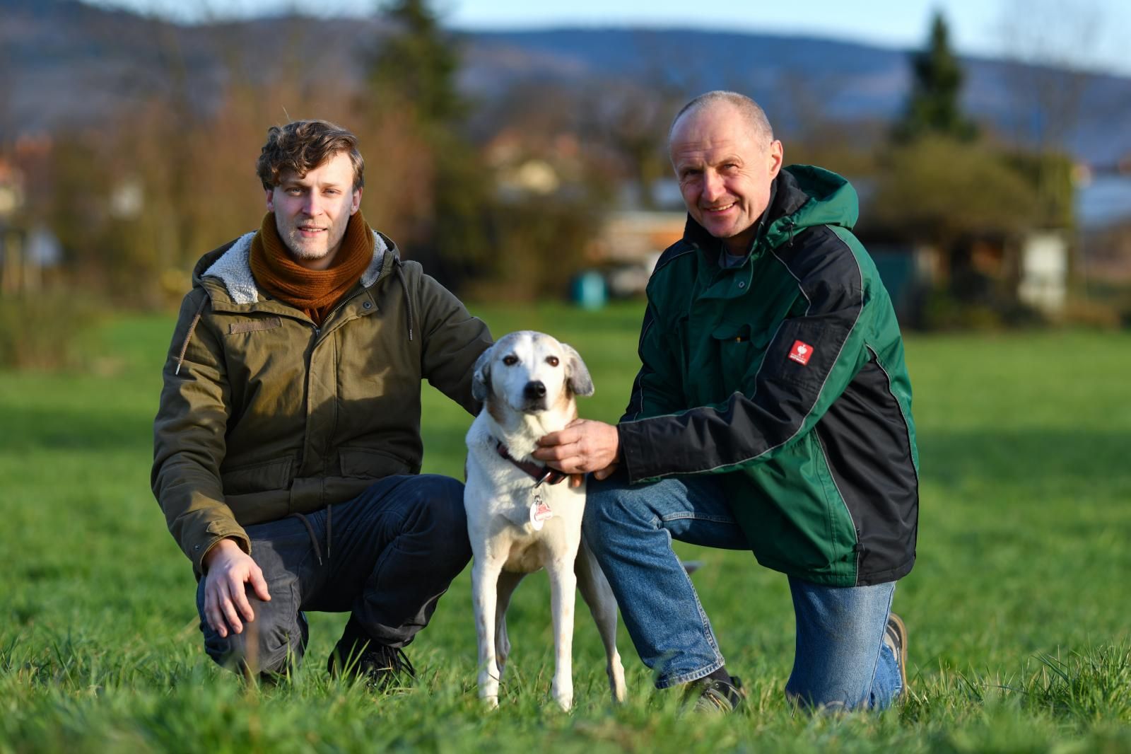Amor perruno a dos dueños, ¿es posible? - Mascotas - ABC Color