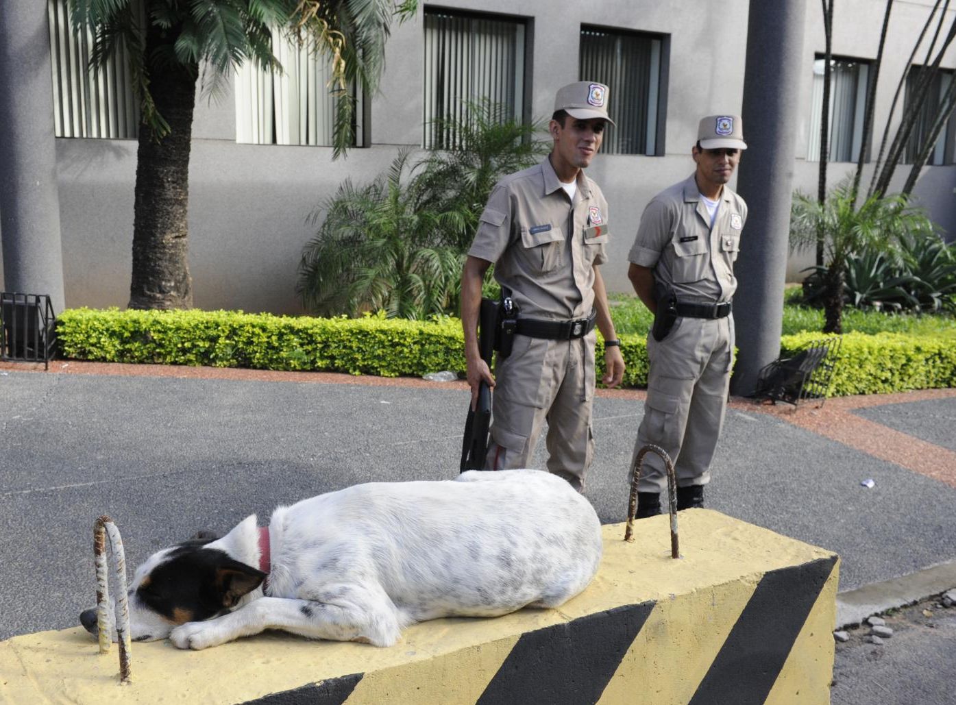 Cambio sería “un manoseo” - Nacionales - ABC Color