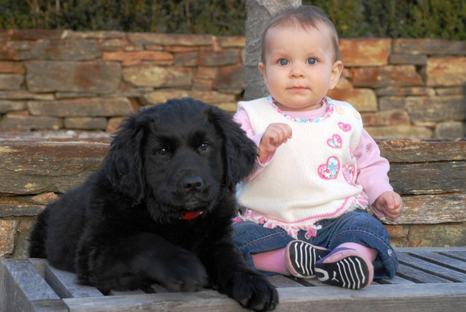 Confianza y reglas claras: la convivencia del bebé y el perro ...