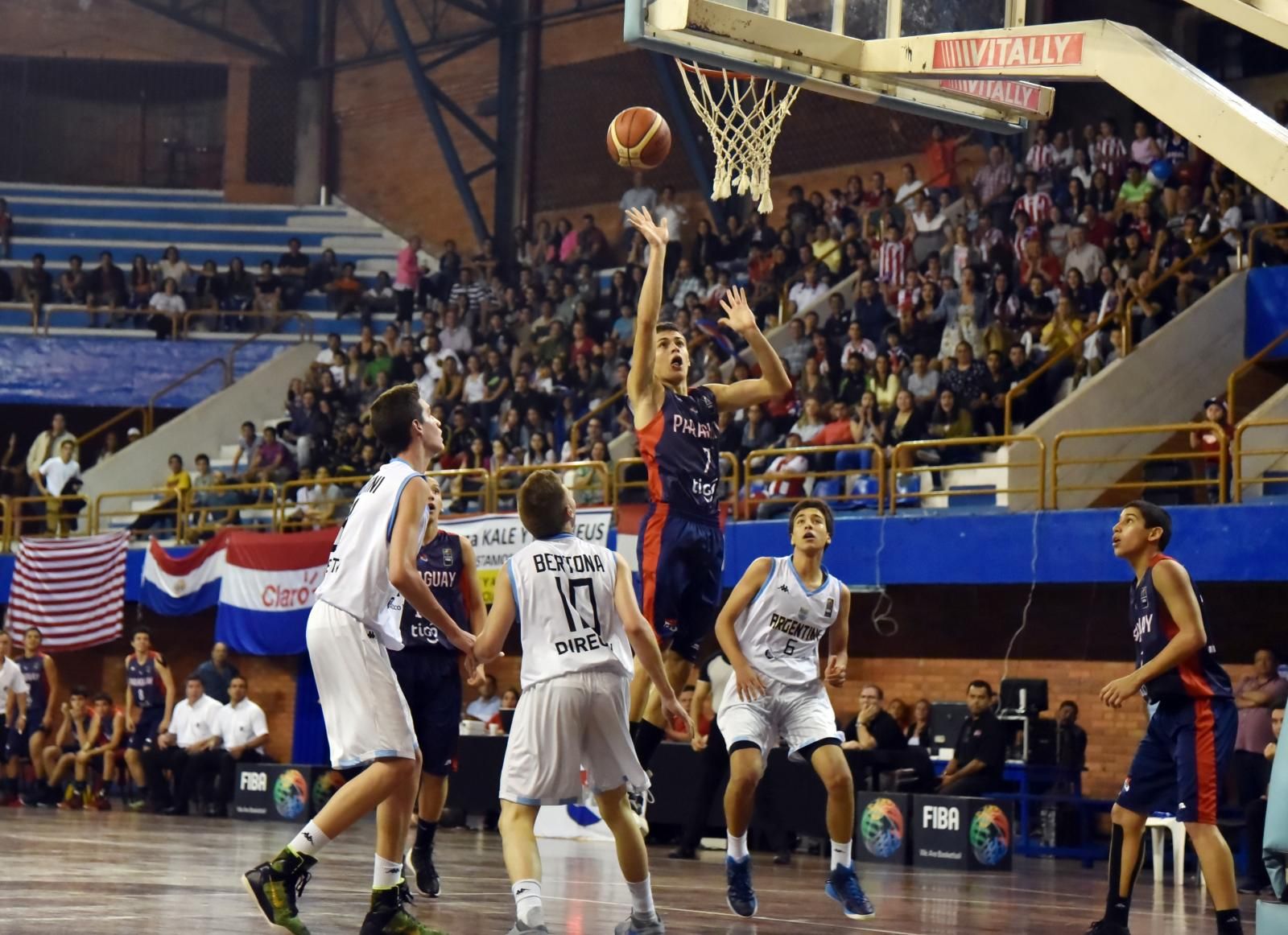 Paraguay, vicecampeón sudamericano - Básquetbol - ABC Color