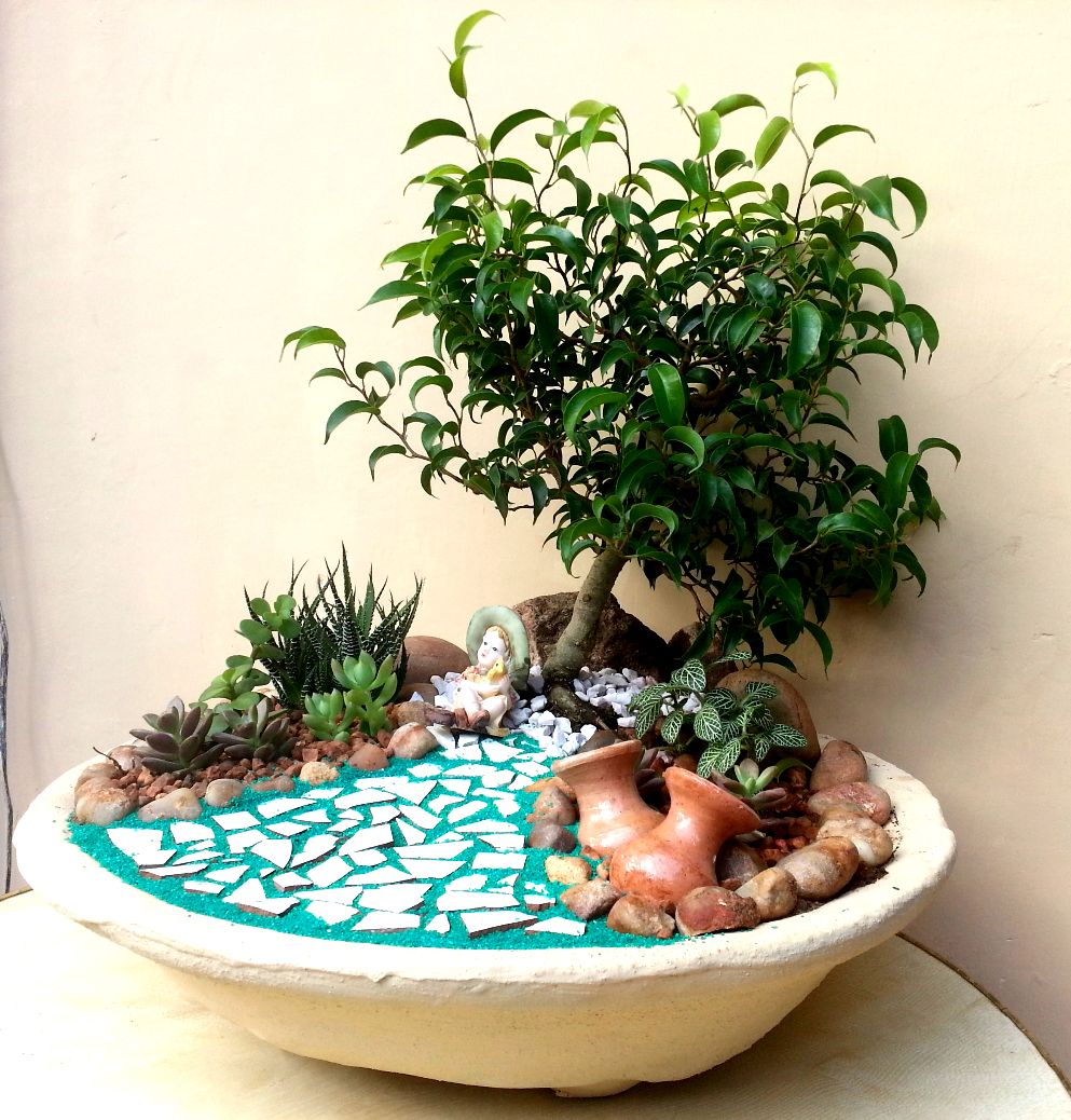 Diseños en una maceta - Casa y Jardín - ABC Color