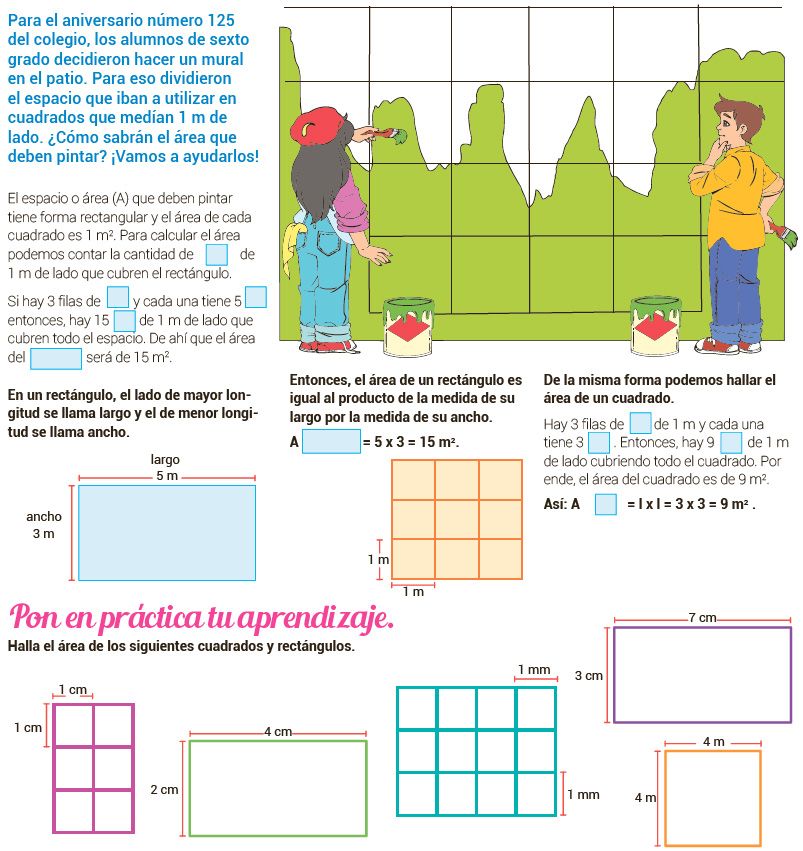 Área de rectángulos y cuadrados - Escolar - ABC Color