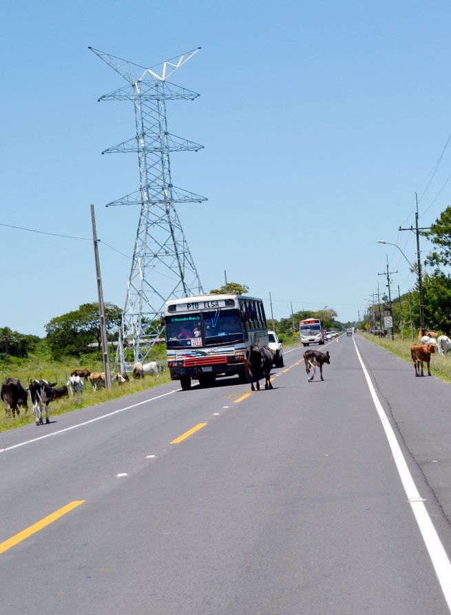 Ruta que conduce a Nanawa está totalmente asfaltada - Interior - ABC Color
