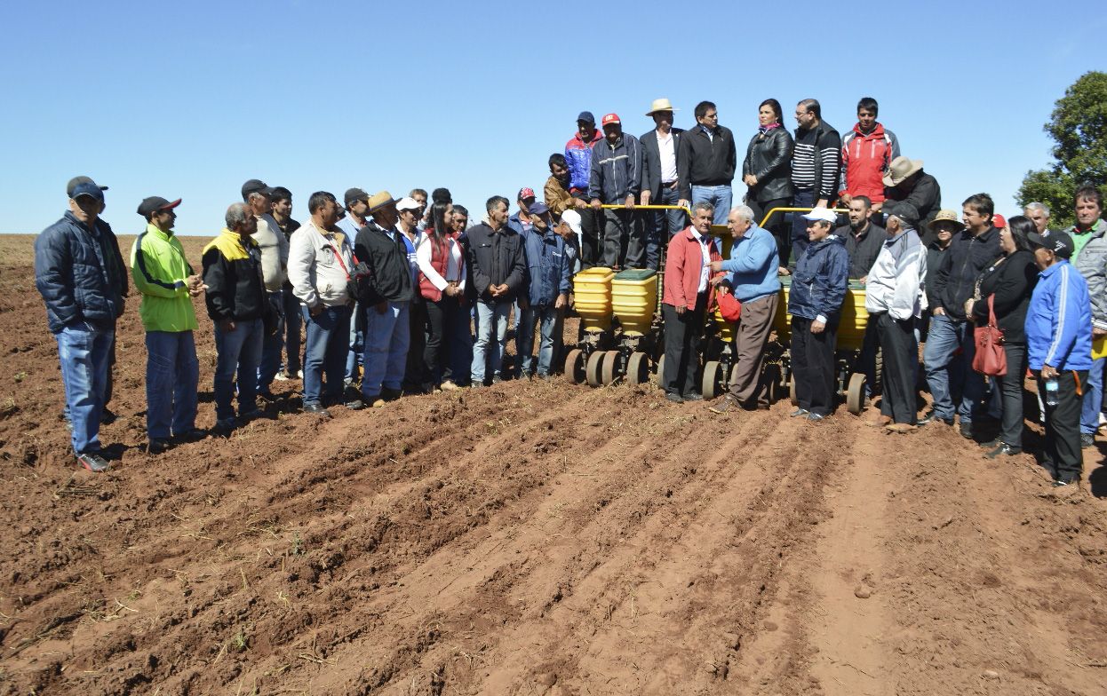 Lanzan plan de producción mecanizada del algodón - Economía - ABC Color