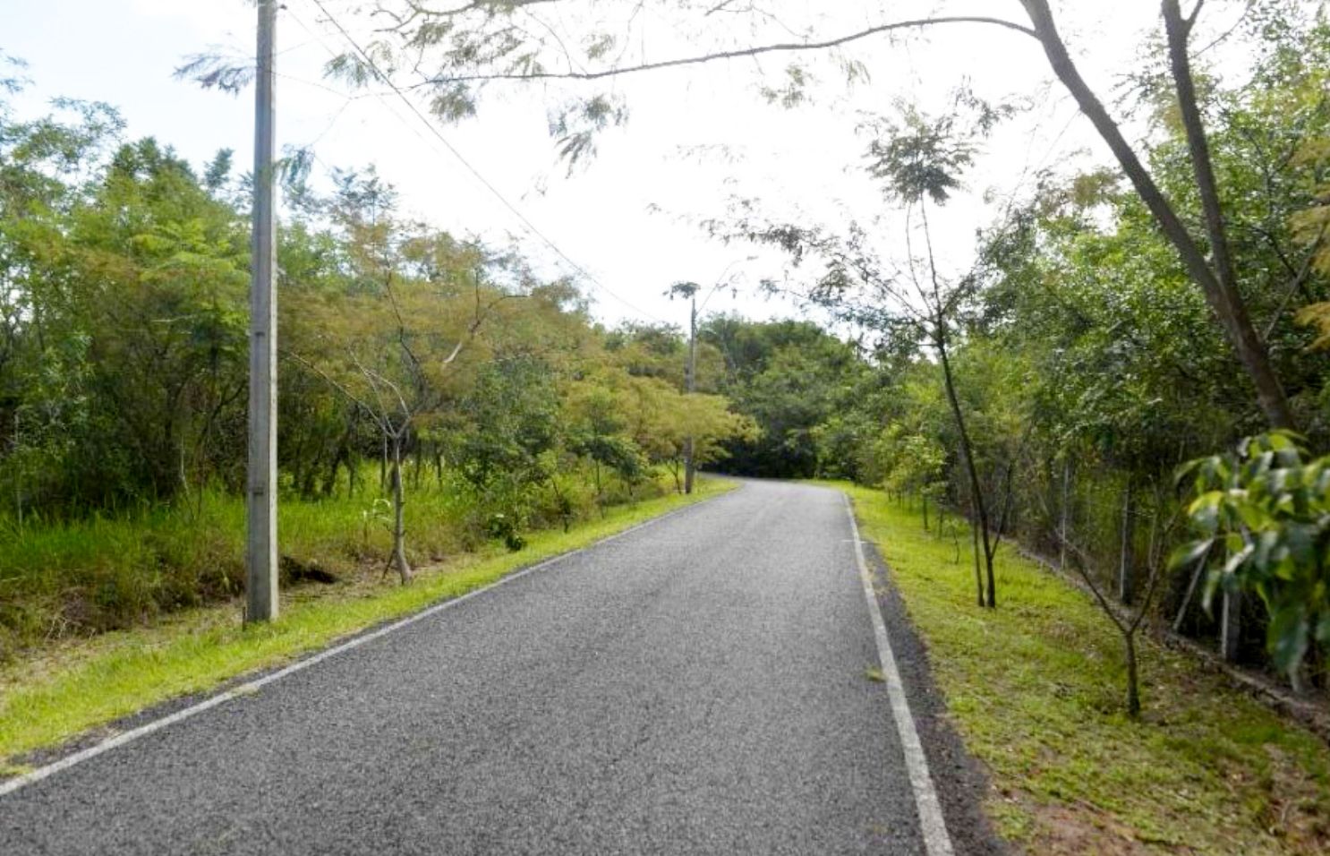 El MOPC y Mario Ferreiro inventan rediseño para matar Parque Guasu ...
