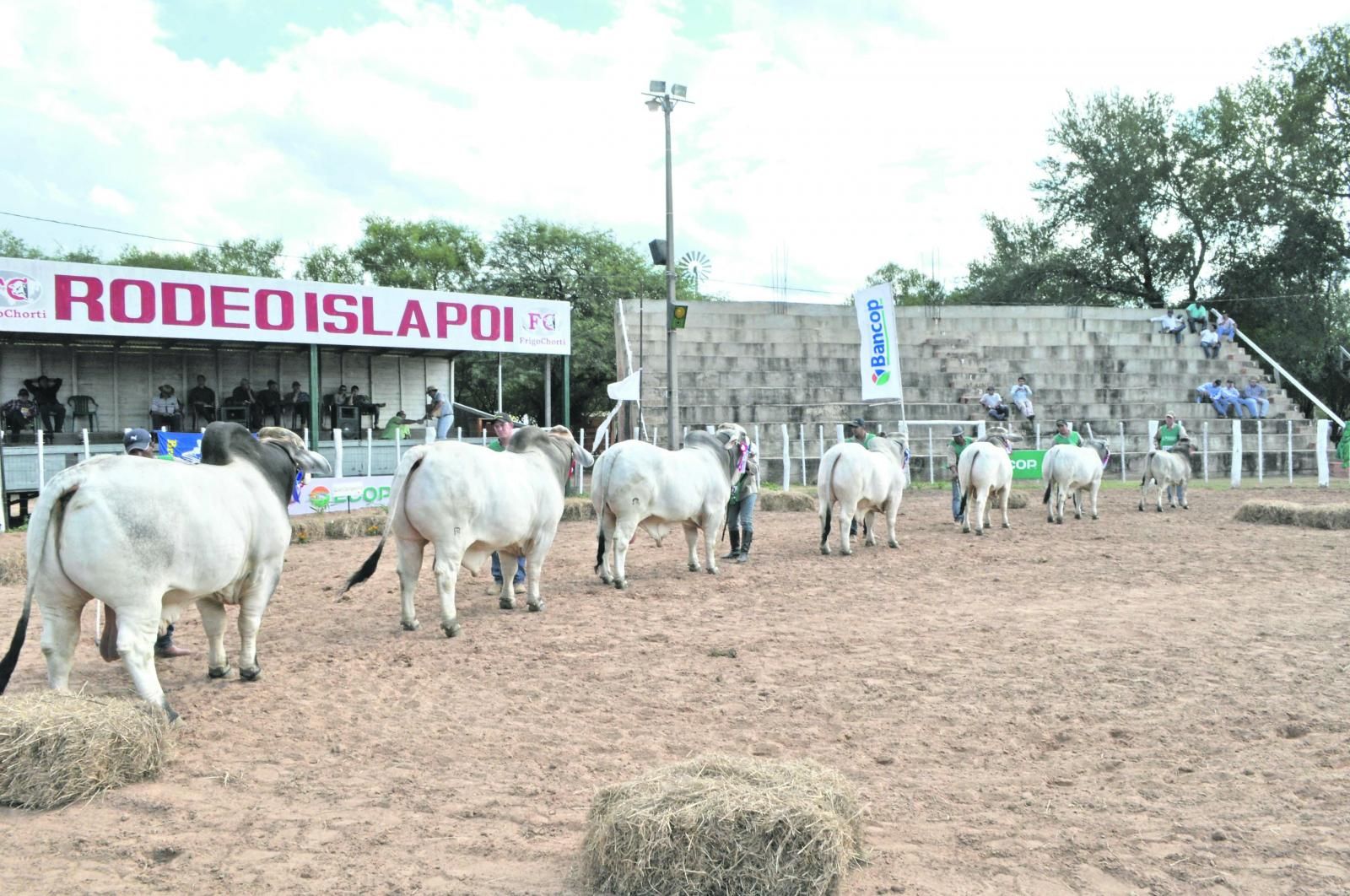 Expo Rodeo Isla Poí - Rudi Krahn (*) - ABC Rural - ABC Color