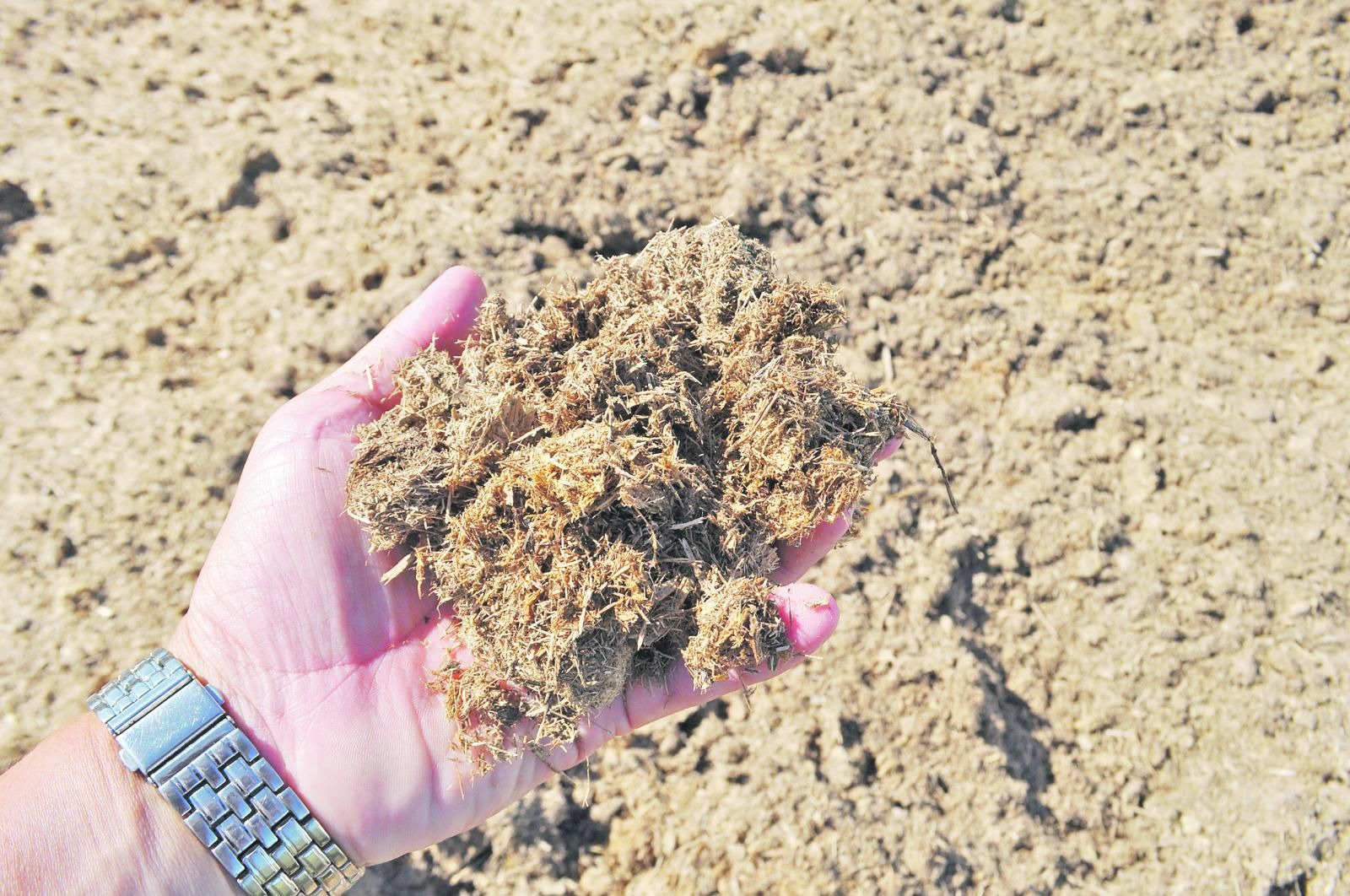 Contenido ruminal - Lic. Víctor Antola (*) - ABC Rural - ABC Color