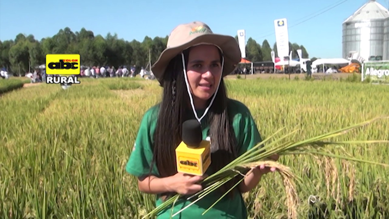 Programa ABC Rural Tv 768 - ABC Rural - ABC Color