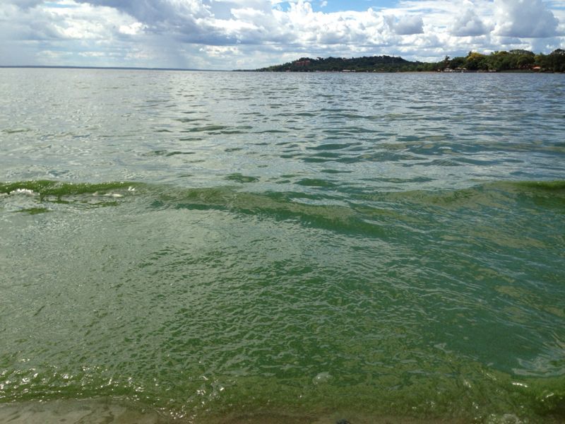 Lago Ypacaraí sigue verde - Nacionales - ABC Color