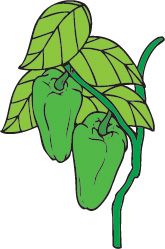 El locote - Escolar - ABC Color