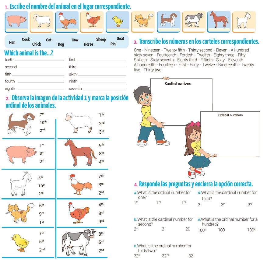 Cardinal and ordinal numbers - Escolar - ABC Color