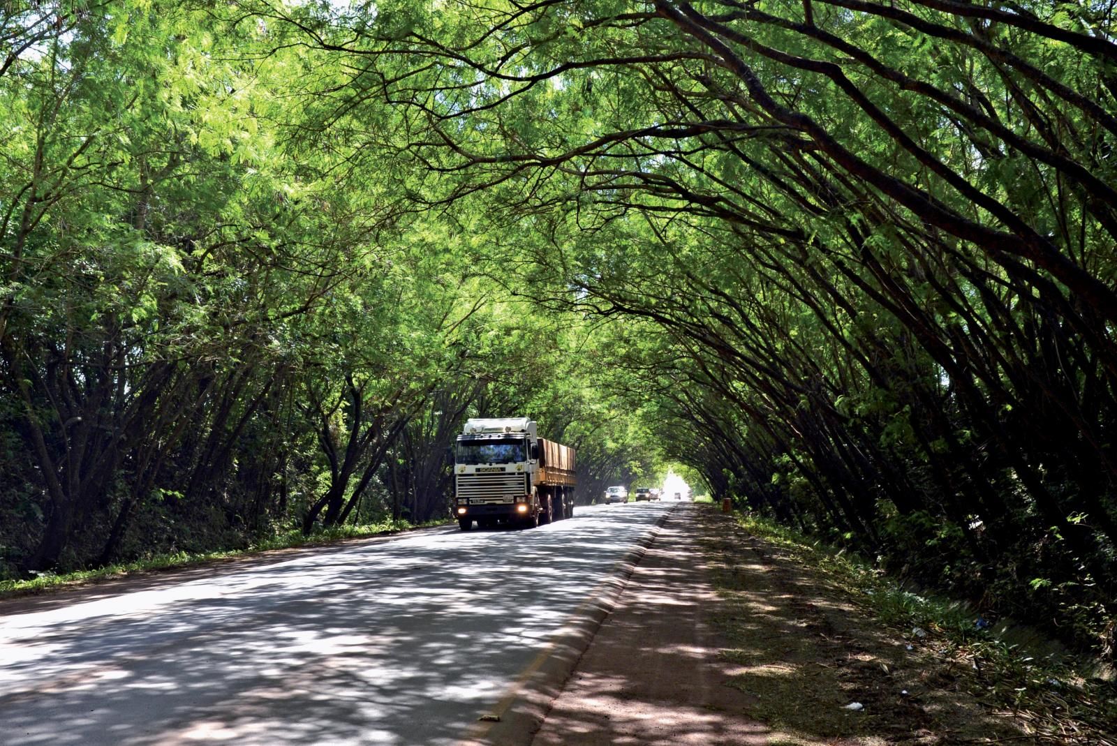 SANTA RITA - Empresas y Negocios - ABC Color