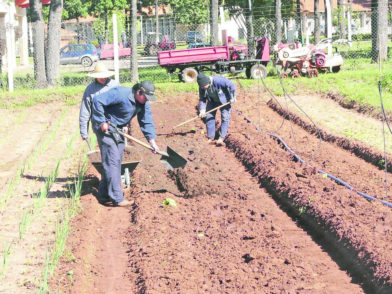 Compost - ABC Rural - ABC Color