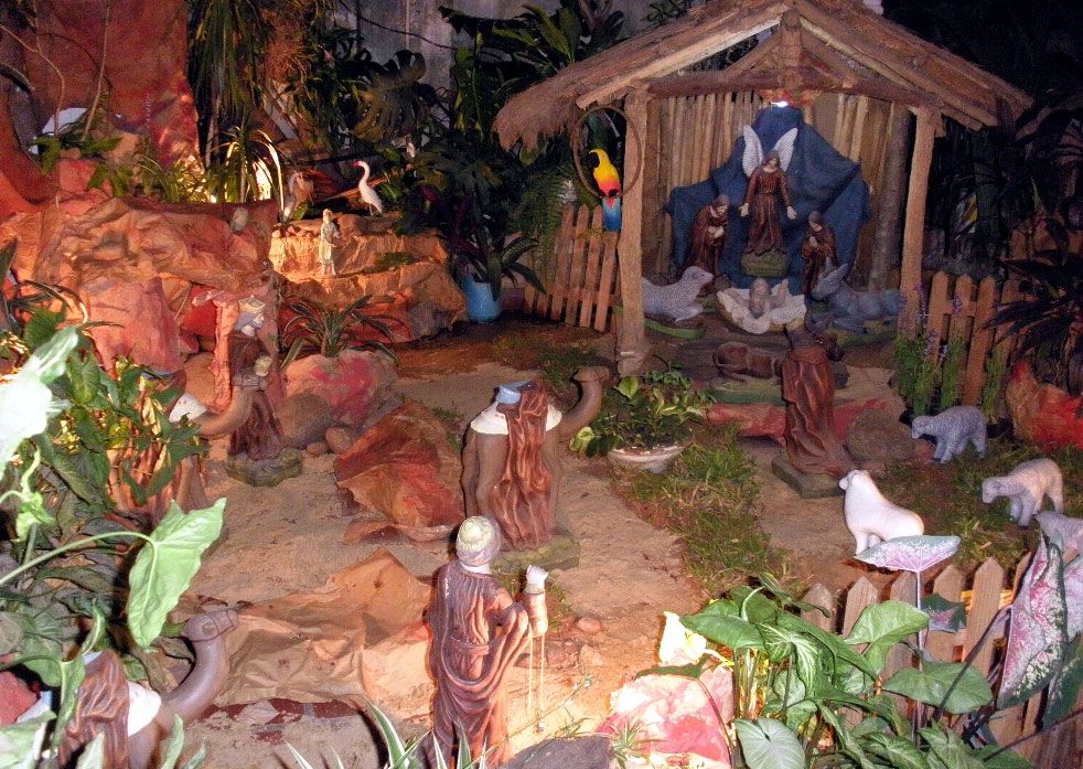 Con el pesebre y la flor de coco das un toque de paz y aire navideño a ...