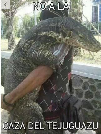 El movimiento en defensa del teju guasu - ABC Rural - ABC Color