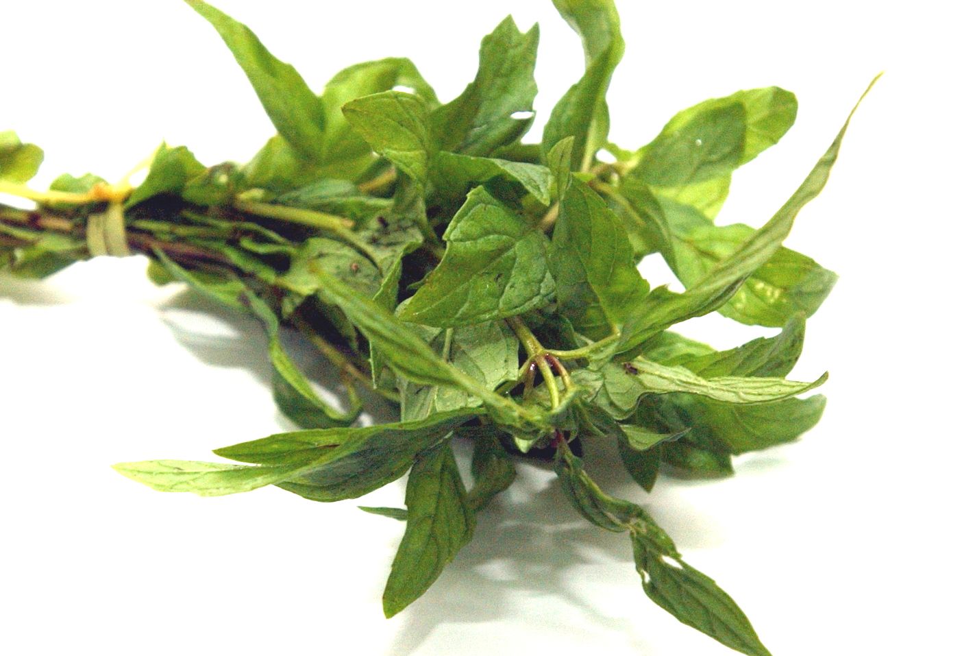 Menta’i - Casa y Jardín - ABC Color