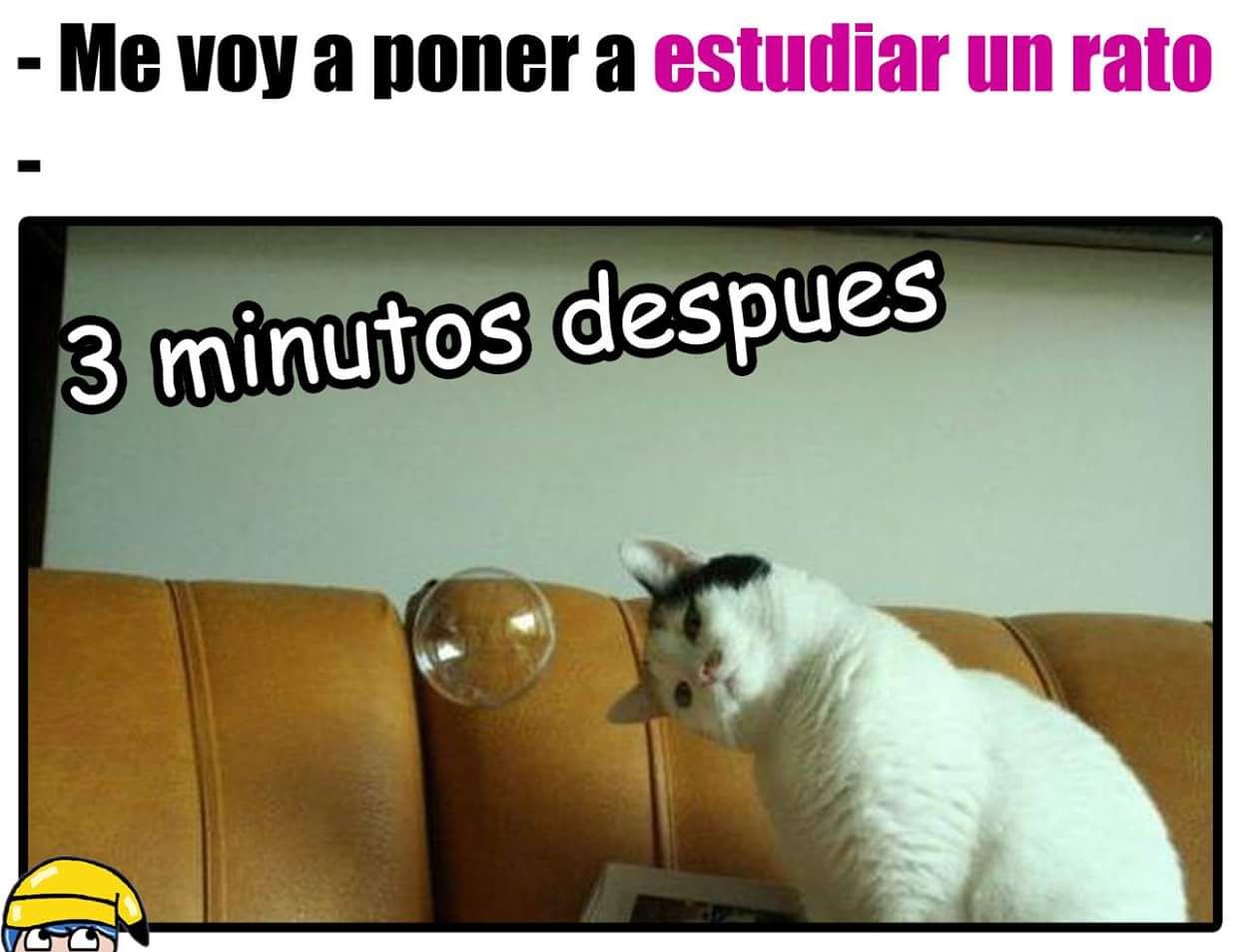 Distracción - Soy un viral - ABC Color