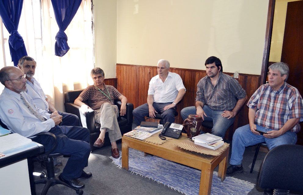 Industriales piden al MAG incentivar cultivo de coco - Interior - ABC Color