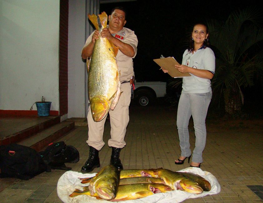 La SEAM autoriza pesca del Dorado - Nacionales - ABC Color