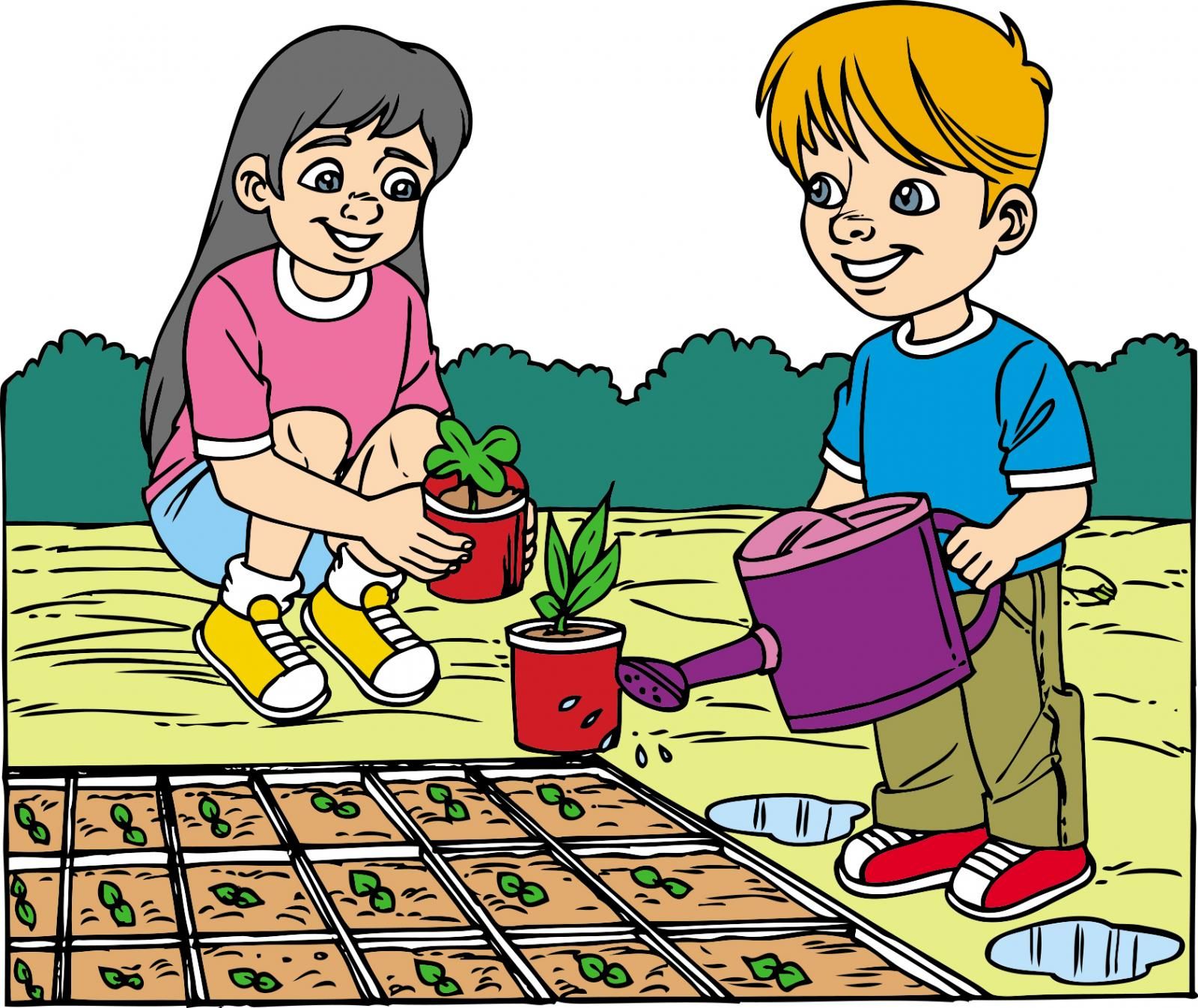 Los componentes del vivero escolar - Escolar - ABC Color