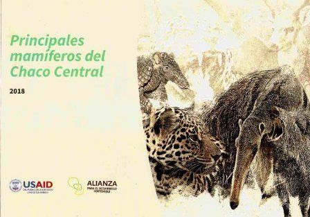 Lanzan guía sobre principales mamíferos del Chaco Central - ABC Rural ...