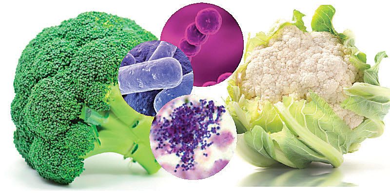 Enfermedades transmitidas por los alimentos - Gastronomia - ABC Color