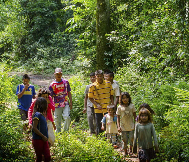 Bosques llaman a “custodios” - Notas - ABC Color