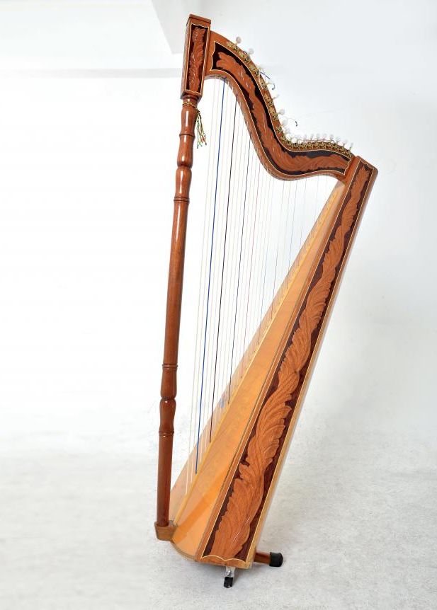 El arpa hará historia - ABC Revista - ABC Color