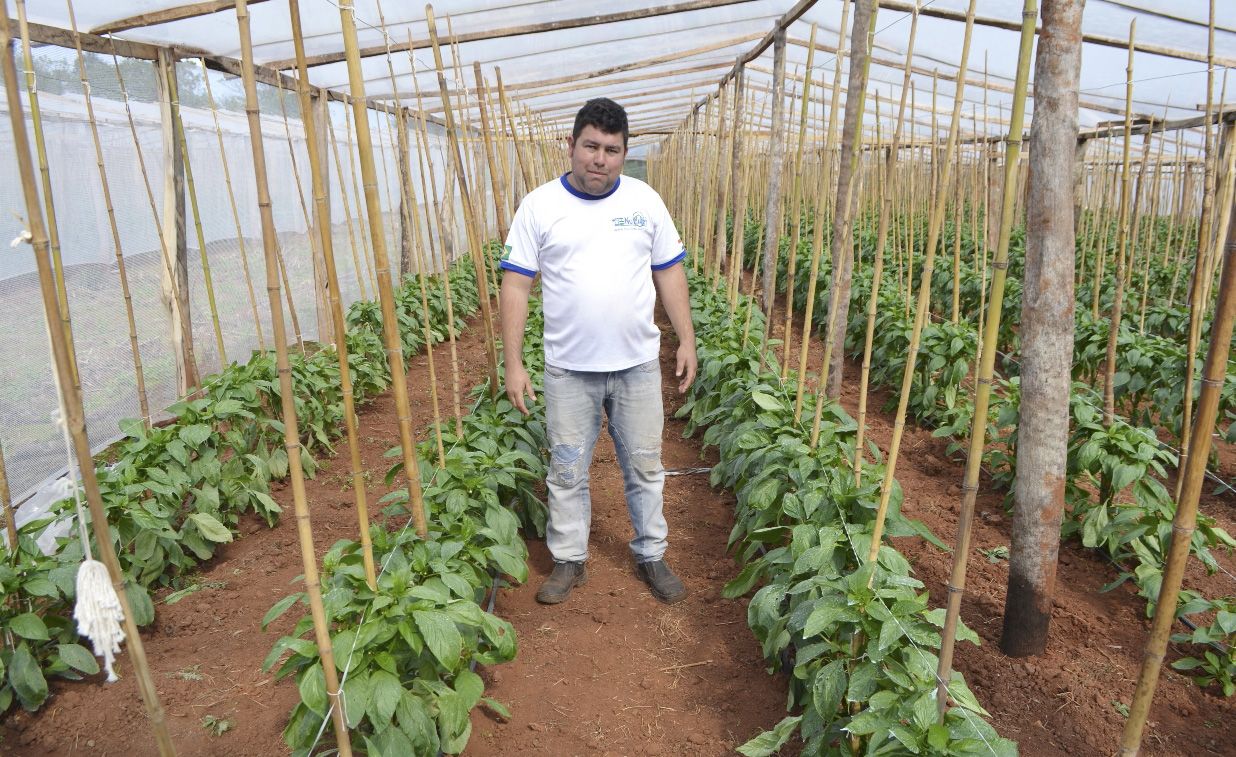 Locote se convierte en una opción de empleo - 3 Fronteras - ABC Color