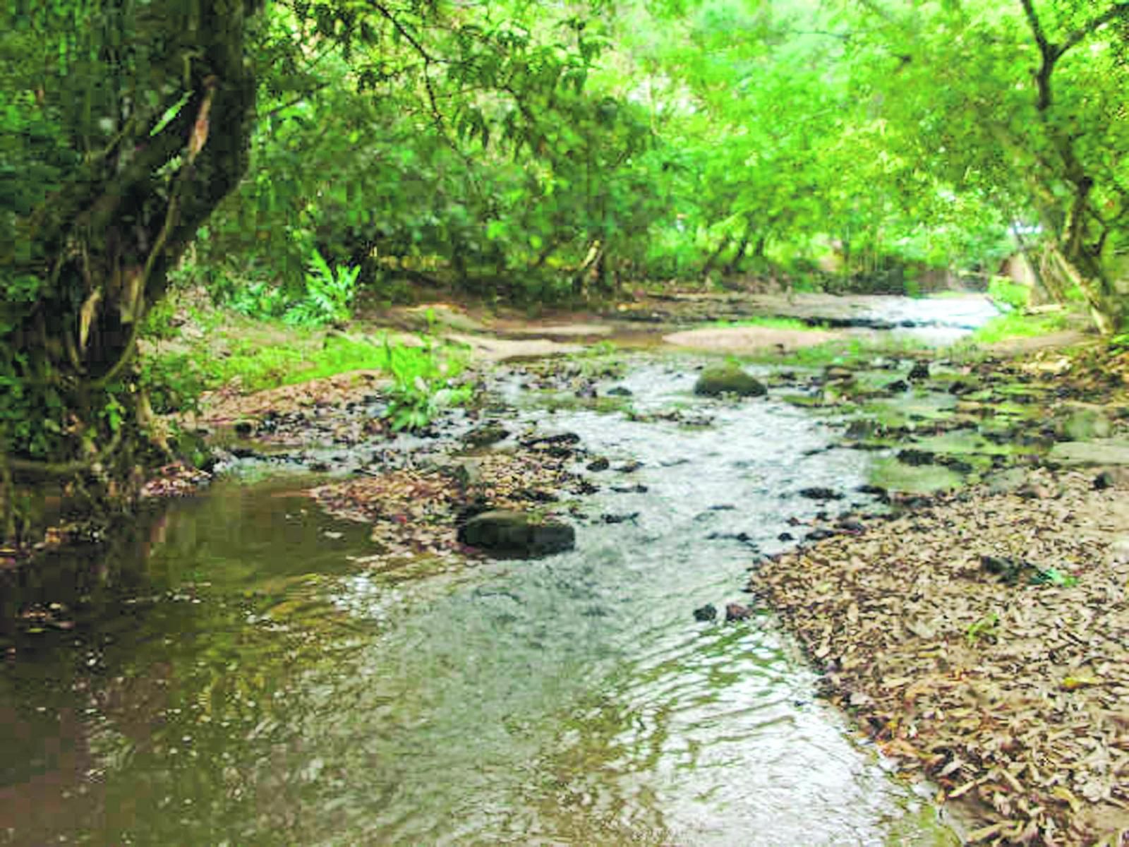 Recursos hídricos en zonas rurales - ABC Rural - ABC Color