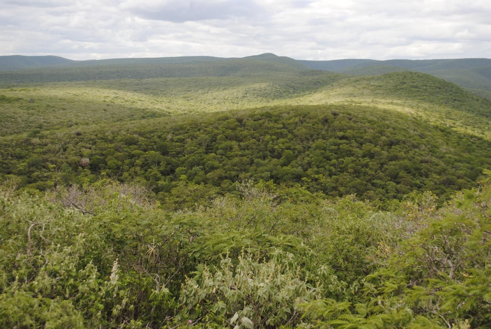 Cerro León: garantizan protección total - Notas - ABC Color