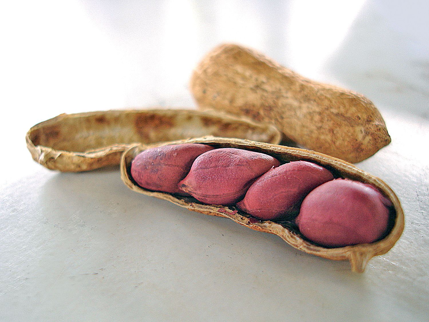 Maní, prodigio de la naturaleza - ABC Revista - ABC Color