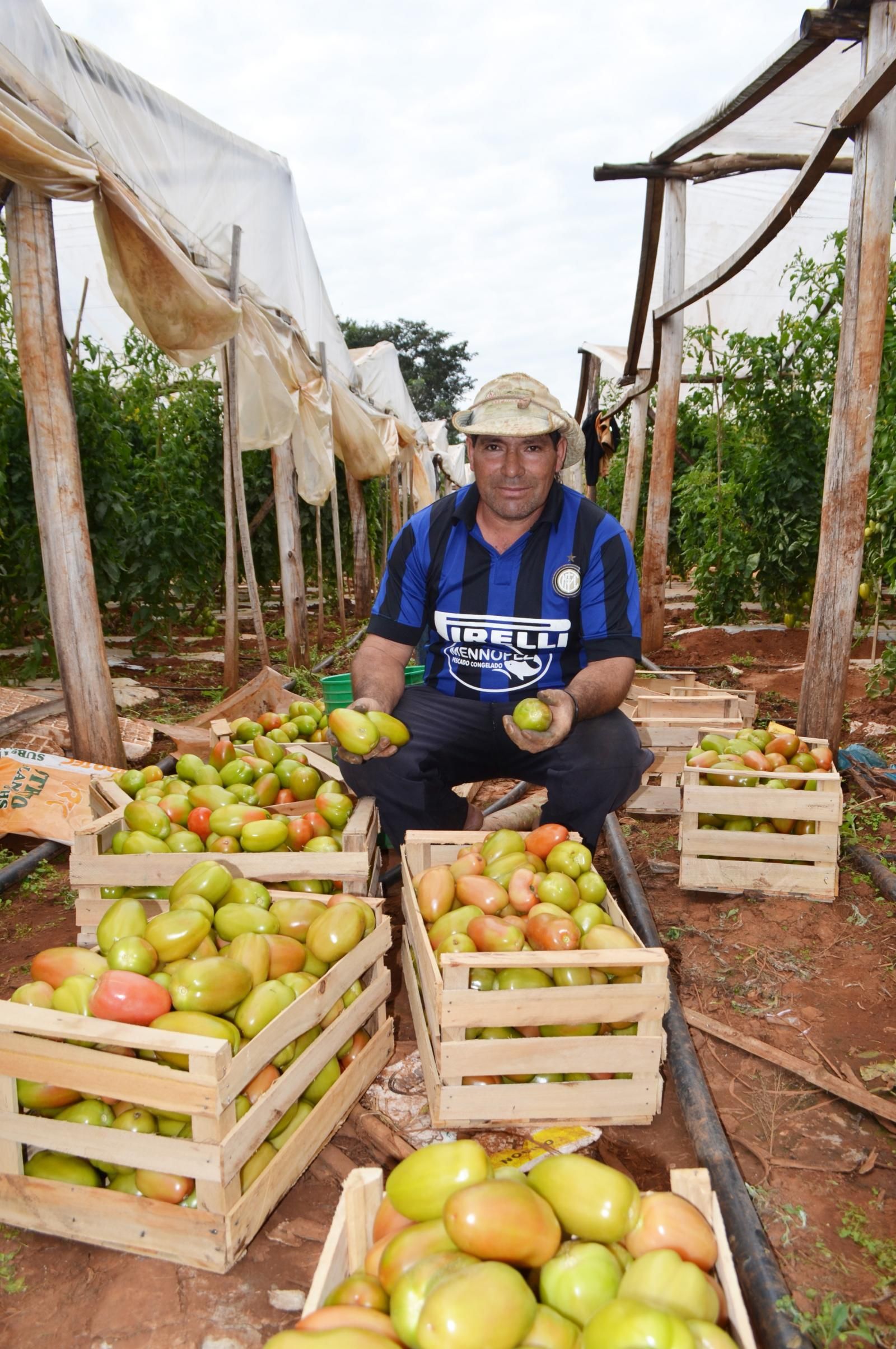 Con diversificación de rubro aseguran ganancia - 3 Fronteras - ABC Color