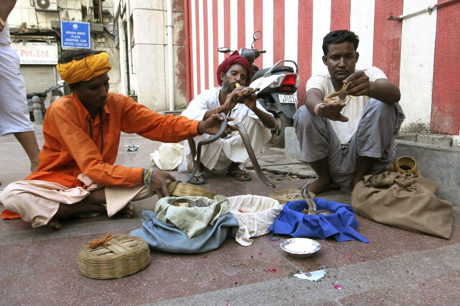 La India celebra el festival hindú de las serpientes - Mundo curioso ...