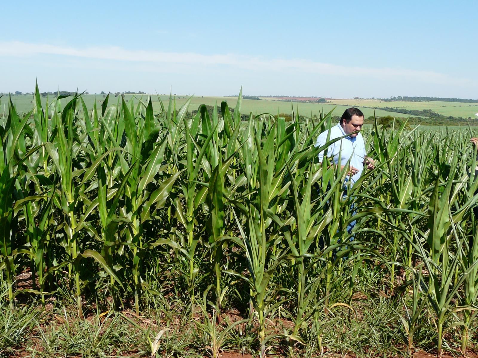 Cambio climático dañará producción de alimentos en Sudamérica - ABC ...